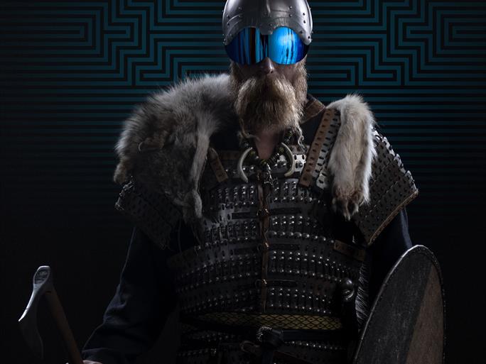 The Viking Planet